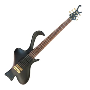 Ritter Jupiter 6 String Bass Frosted Black | Reverb