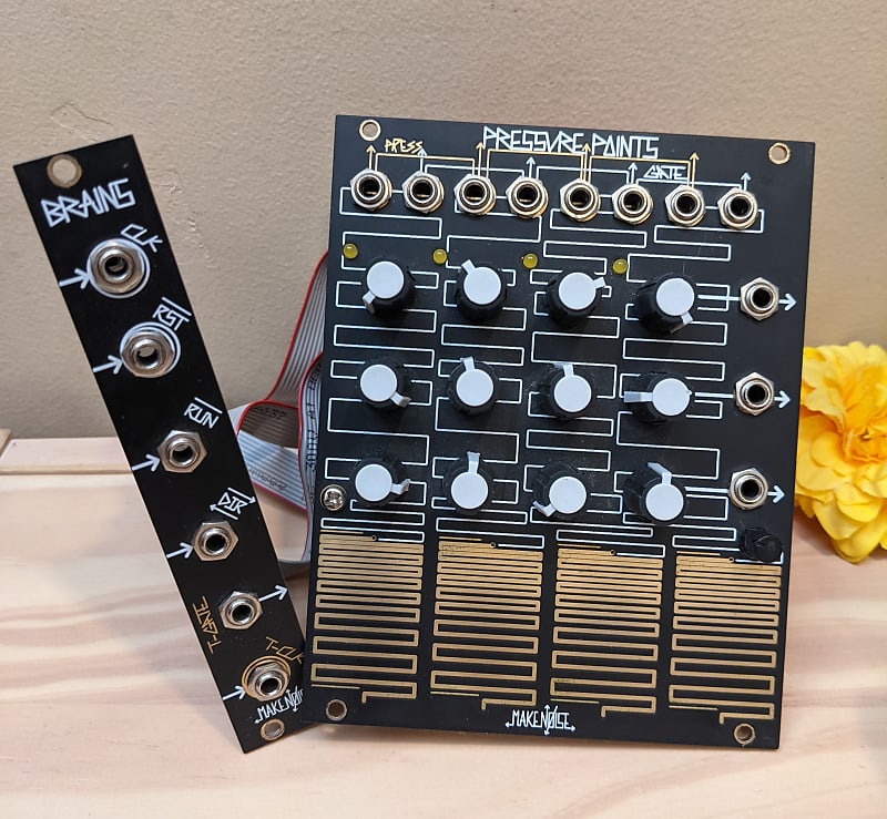 Make Noise Pressure Points + Brains | Reverb UK