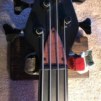 Tim Salas Custom neck thru 4 string electric bass | Reverb