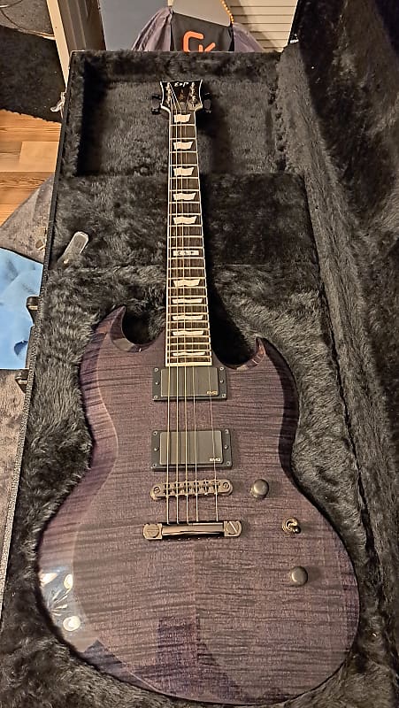ESP Viper Custom 2001 - Dark Purple Mahogany | Reverb