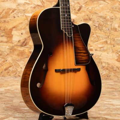 Quint Archtop Octave Mandolin Maple Short Scale Cuyaway VS | Reverb