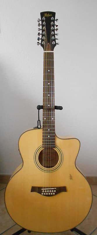 Brand New 12 strings Electro Acoustic Guitar Hofner | Reverb