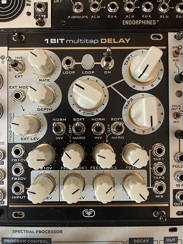 Feedback Modules 1 BIT multitap DELAY | Reverb
