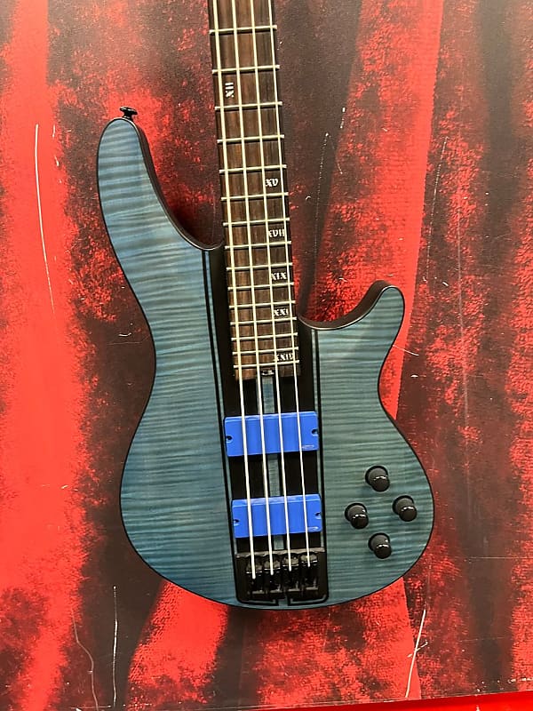 Schecter C4 GT Bass Guitar (Houston, TX) | Reverb