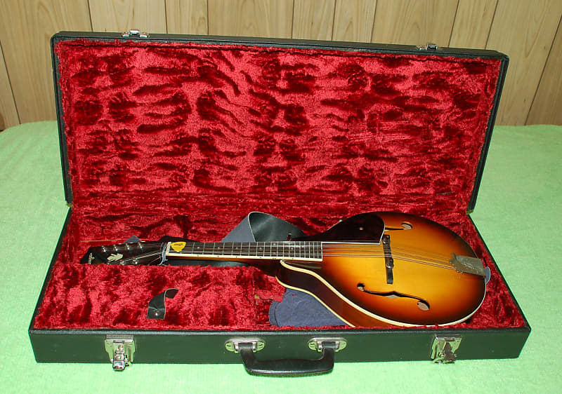 KASUGA Mandolin Sunburst Mid 1980's | Reverb UK