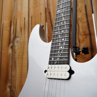 Ibanez Signature TOD10 - Silver Tim Henson 6-String Electric | Reverb