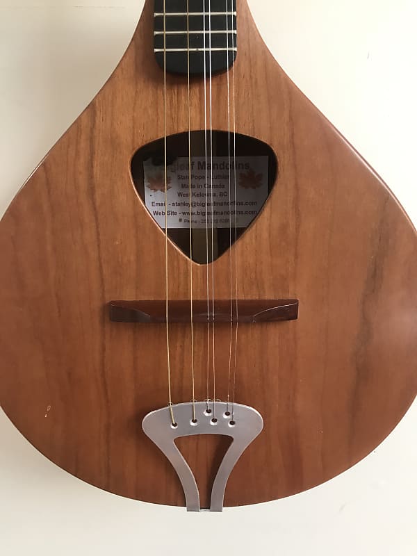 Stan Pope Big Leaf Mandola 6 string | Reverb