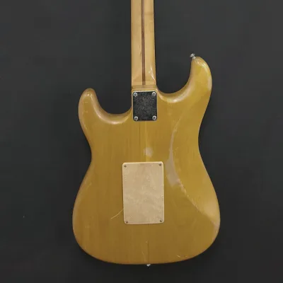 Custom Fender Stratocaster Garcia Inspired "Alligator" CS54 | Reverb