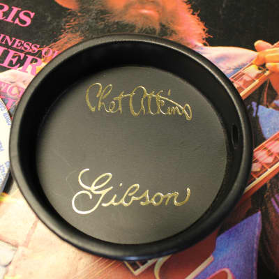Gibson Chet Atkins Soundhole Insert | Reverb