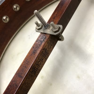 Bacon Style B Chicago Princess 11" Tenor Resonator Banjo 1925 | Reverb