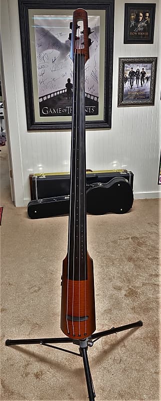 NS Design NXT 4 STRING UPRIGHT BASS WITH BAG AND STAND 2000? | Reverb
