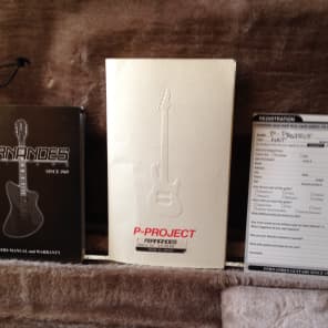 Fernandes P-Project 1998-99 AI-N Nylon Electric-Acoustic | Reverb