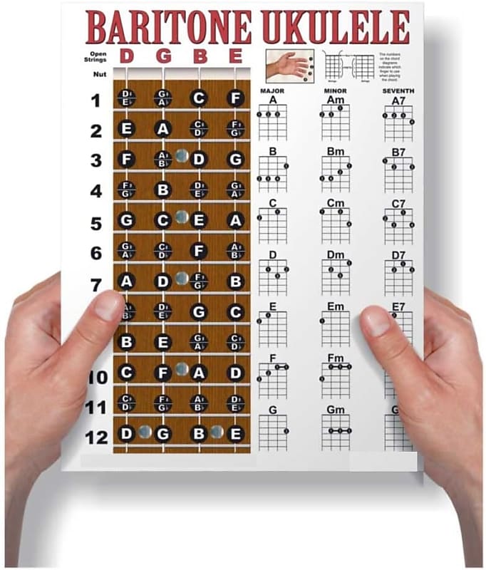 Laminated Baritone Ukulele Fretboard & Chord Chart Easy | Reverb