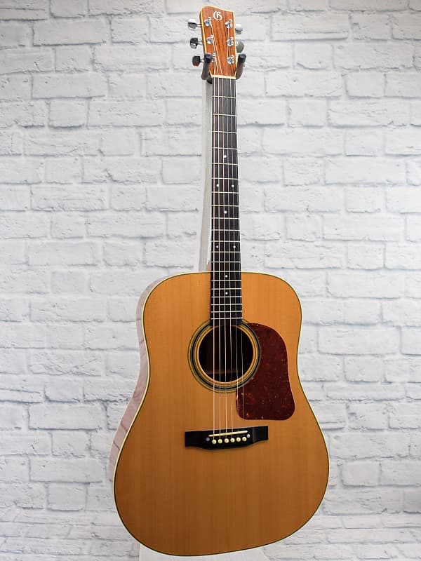 Gallagher G-50 w/ Hard Case! | Reverb