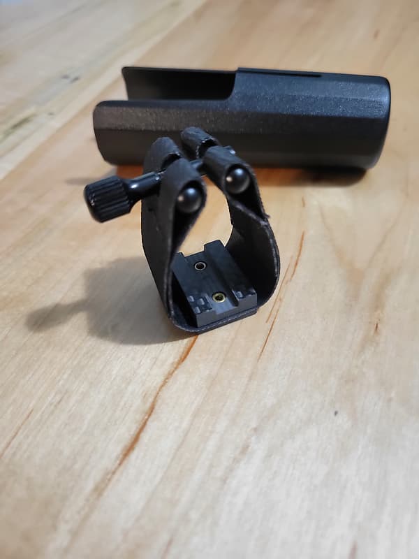 RS Berkeley Eddie Daniels Signature CARBON FIBER SERIES | Reverb