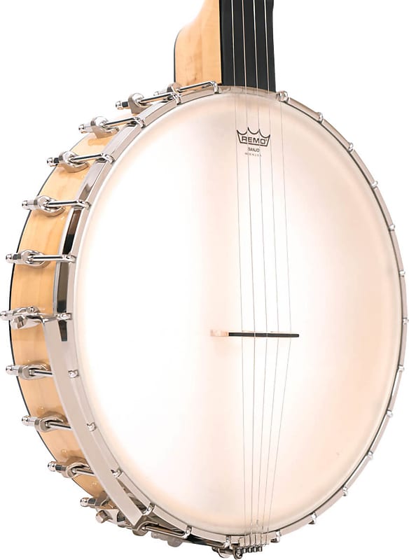 Gold Tone BC-350 Bob Carlin Signature 5-String Open-Back | Reverb