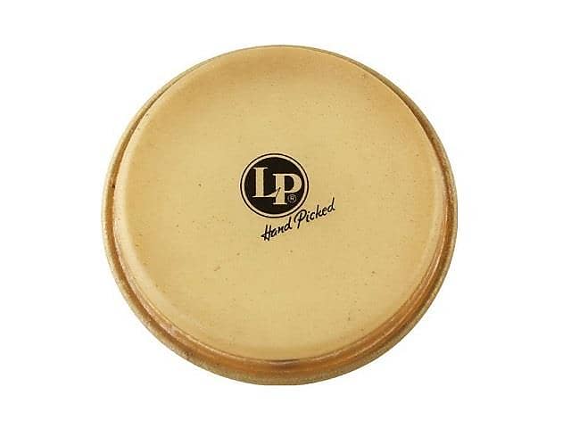 LP Rawhide Large Bongo Head 8-5/8" | Reverb Canada