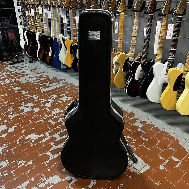 Proel Acoustic Guitar Case Auditorium | Reverb