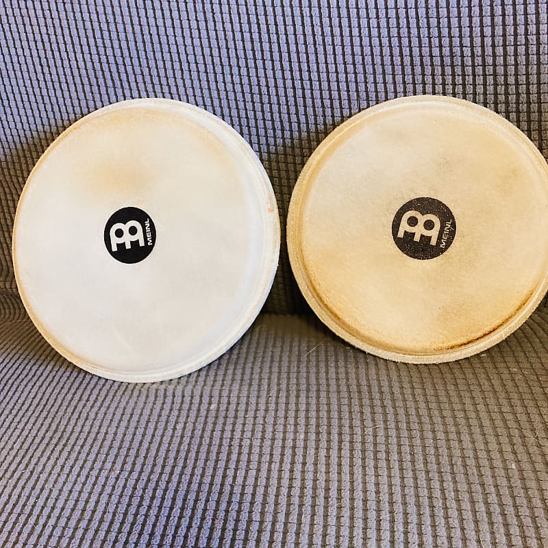 Set of Bongo Heads ( Meinl) | Reverb