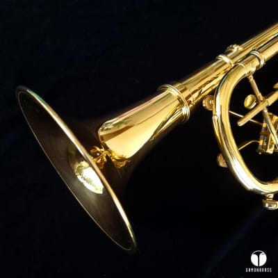 Thein Bb rotary trumpet Orchestral `Matthias Höfs – | Reverb UK