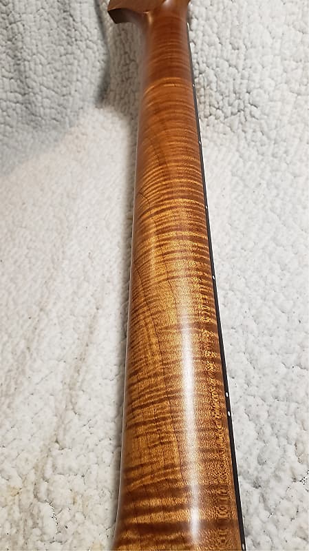 Stunning USA made Nitro finish Roasted neck with killer flame | Reverb