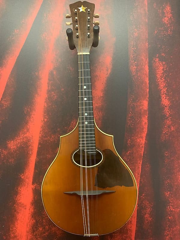 Vega Cylinder Back Mandolin Mandolin (Carle Place, NY) | Reverb