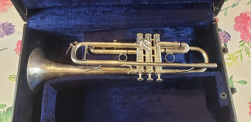 D CALICCHIO 2/2 PRO SILVER TRUMPET LOS ANGELES/HOLLYWOOD | Reverb