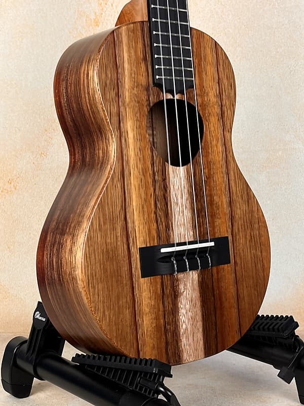 Beautiful Koaloha Royal Pikake Tenor Ukulele KTM-10RP | Reverb
