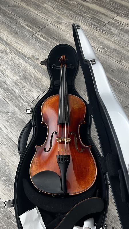 Great Entry/Intermediate Violin | Reverb