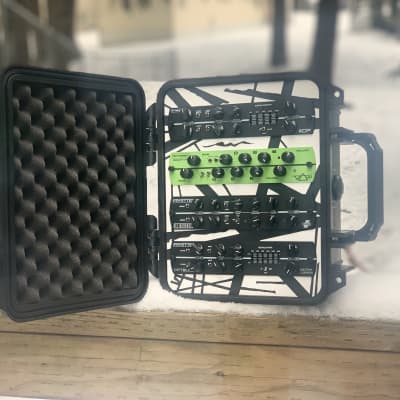 Burns Delta Model 4 Slot Case, 3VH, Synergy Randall Egnator | Reverb