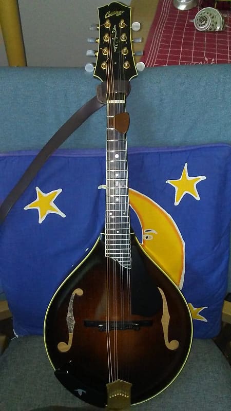 Collings Mandolin | Reverb