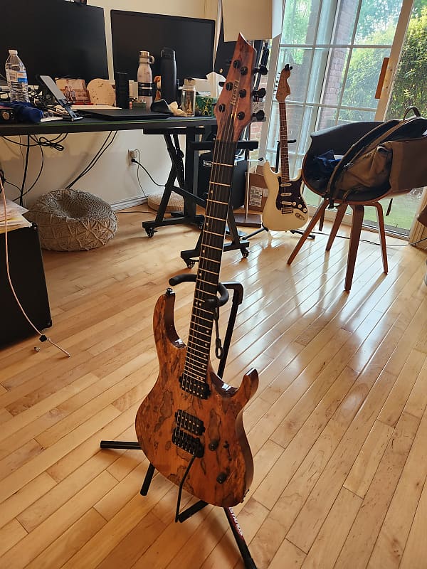 Kiesel DC6x 2019 Upgraded Spalted Maple | Reverb