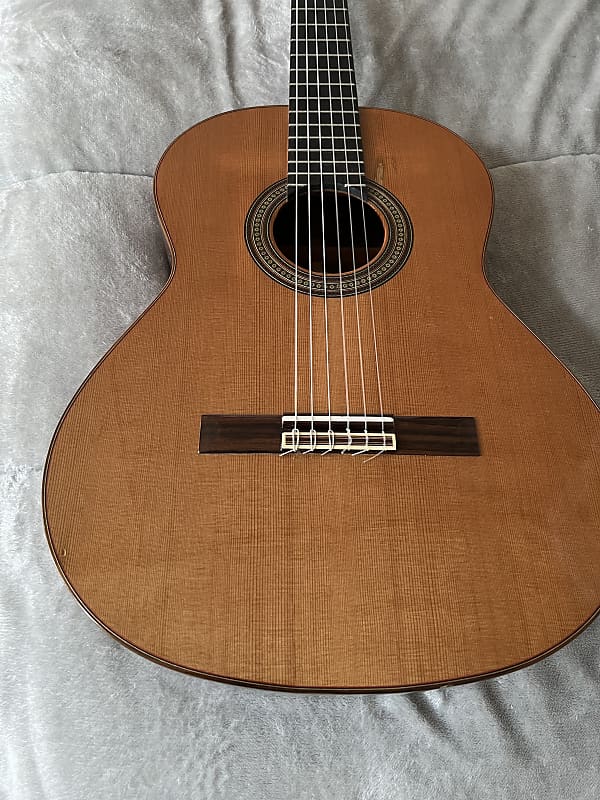 Paco Castillo 240 2020 - Naturel | Reverb