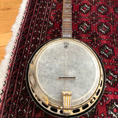 Lida 240 Gold Archtop 5 String "Masterclone" Banjo | Reverb