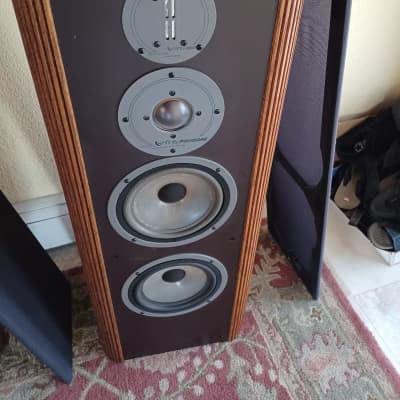 Infinity RS4B - oak | Reverb