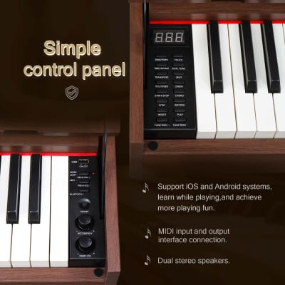 Glarry 88-Key Home Fully Weighted Hammer-action Keybed | Reverb