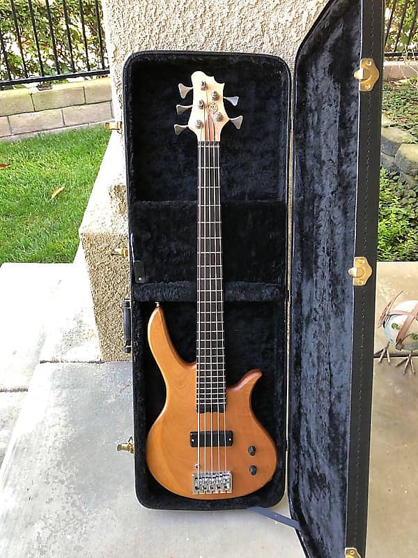 Birdsong Hy5 Short Scale (31") 5 String Electric Bass Guitar | Reverb