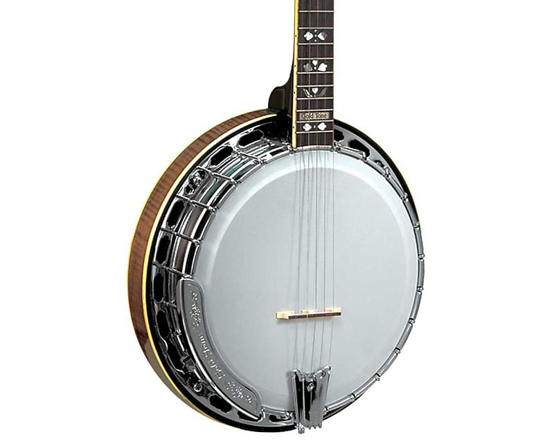 Gold Tone OB-250AT Professional Archtop Bluegrass Banjo - | Reverb