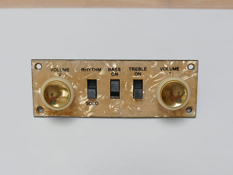 Violin Bass Control Panel - Aged - Hand Wired | Reverb