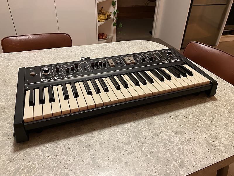 Roland RS-09 44-Key Organ / String Synthesizer 1978 | Reverb Australia