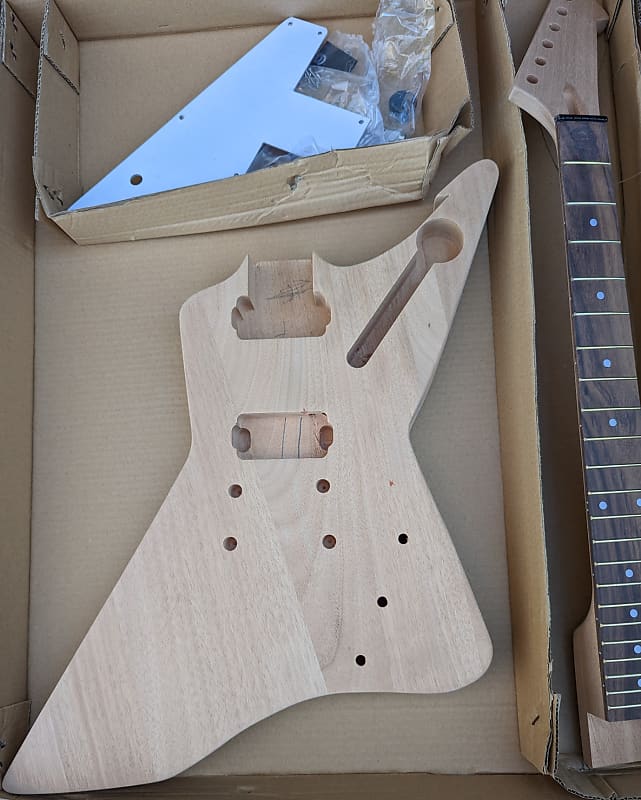 Project Electric Guitar Explorer/ Snakebyte | Reverb