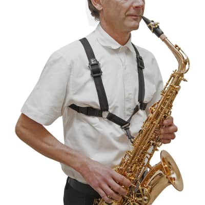 BG Saxophone Harness Strap for Men, Snap Hook, S40SH | Reverb