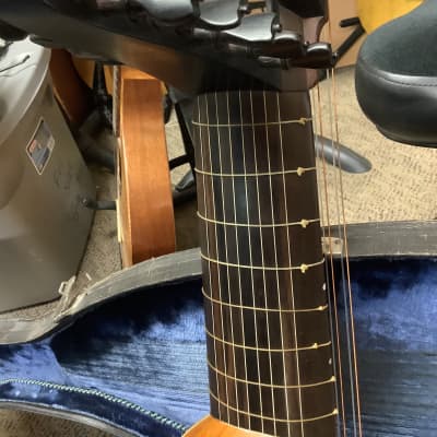 Hans Jordan 10 course Renaissance Lute 1967 - French | Reverb