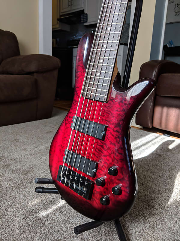 Spector Legend Classic 6 String Bass Black Cherry | Reverb