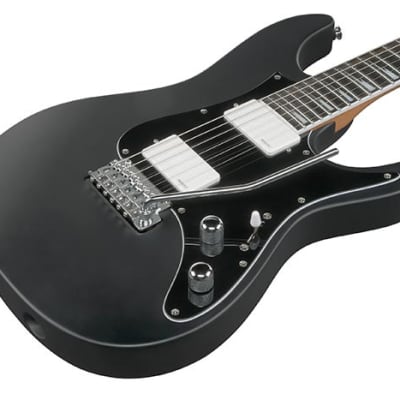 Ibanez BER10 - Limited Edition - Bernth Signature Guitar - | Reverb