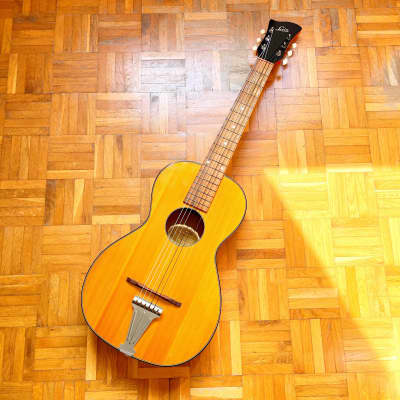 Herman Carlson Levin Model 18 rare & gorgeous parlor | Reverb UK