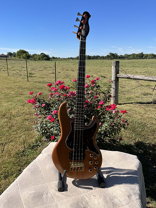 Alien Audio Constellation 430 P/MM Bass | Reverb