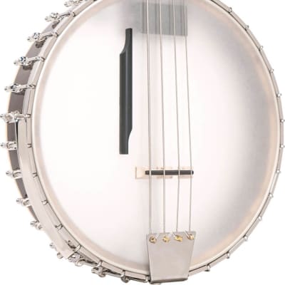 Gold Tone Banjo Bass BB 400 + 2021 | Reverb