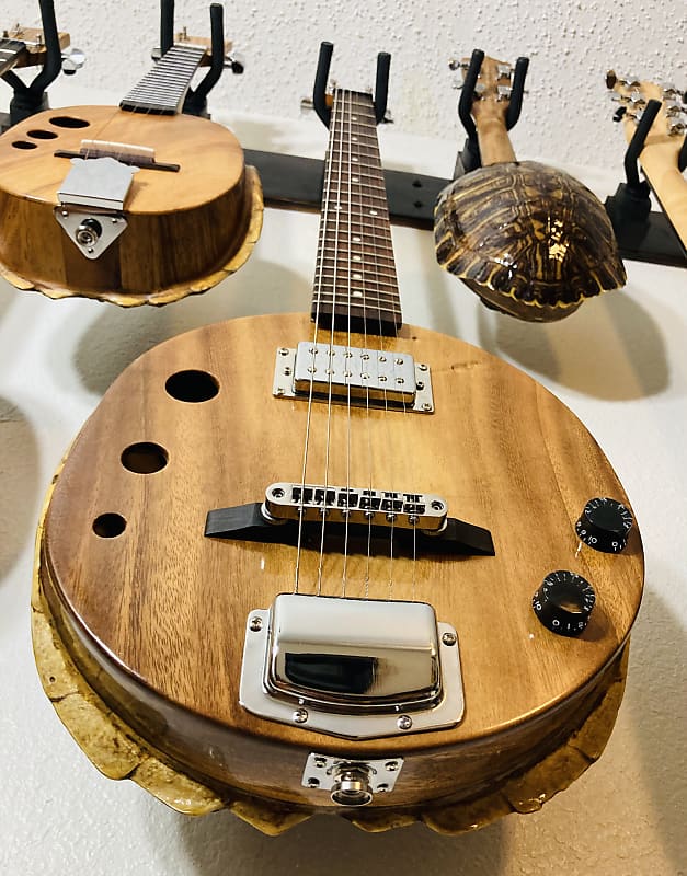Turtle Shell Acoustic/electric Guitar -Monkey pod top | Reverb
