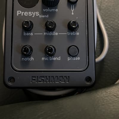 Fishman 301 Presys Guitar System | Reverb